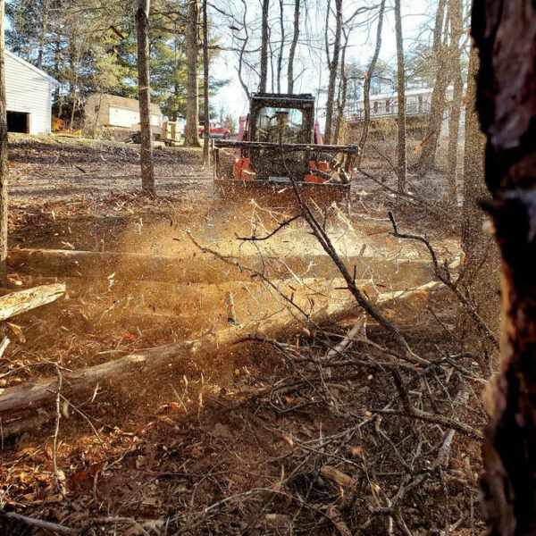 Forestry Mulching: Facts You Should Know